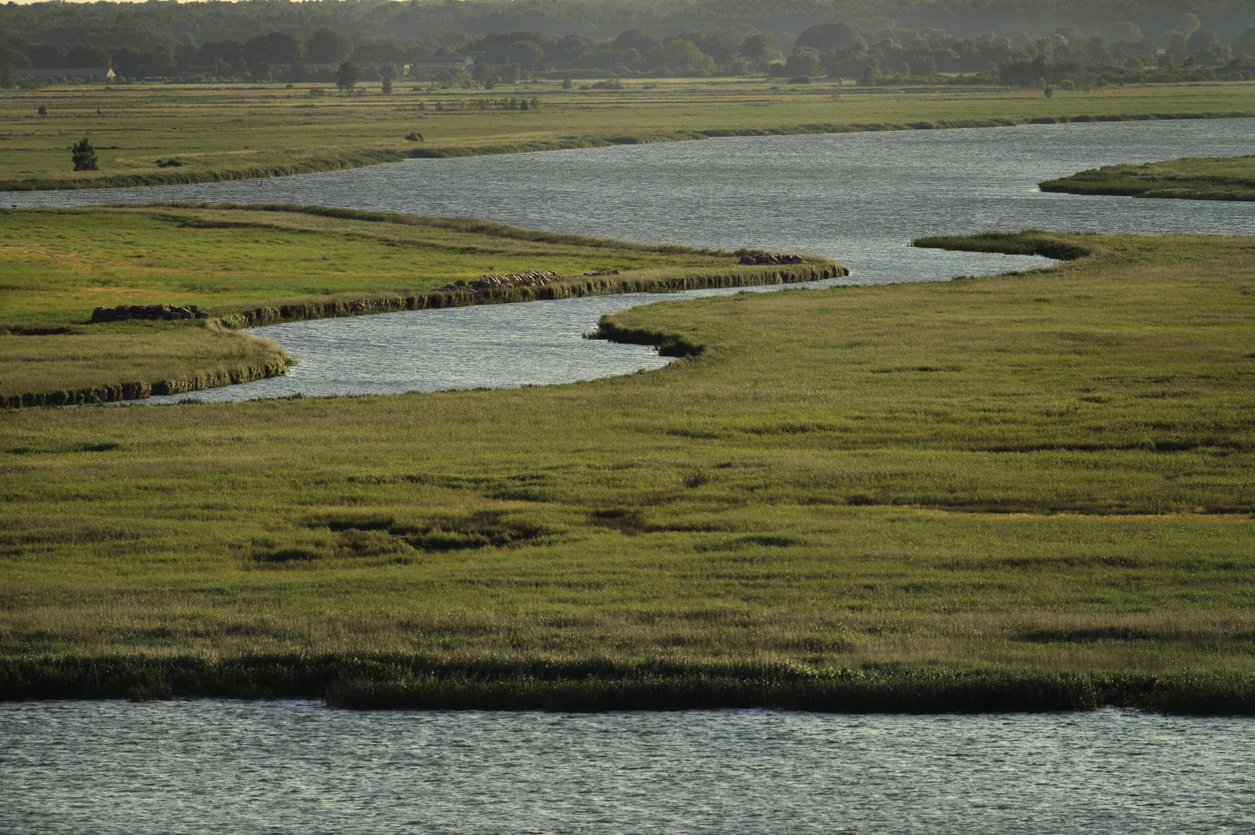 Oder catastrophe: Completely clarify causes and ensure restoration of ...