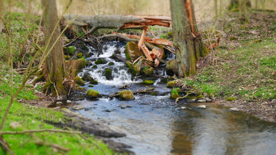 World Rivers Day: Rewilding of the Ina River supported by the Open ...