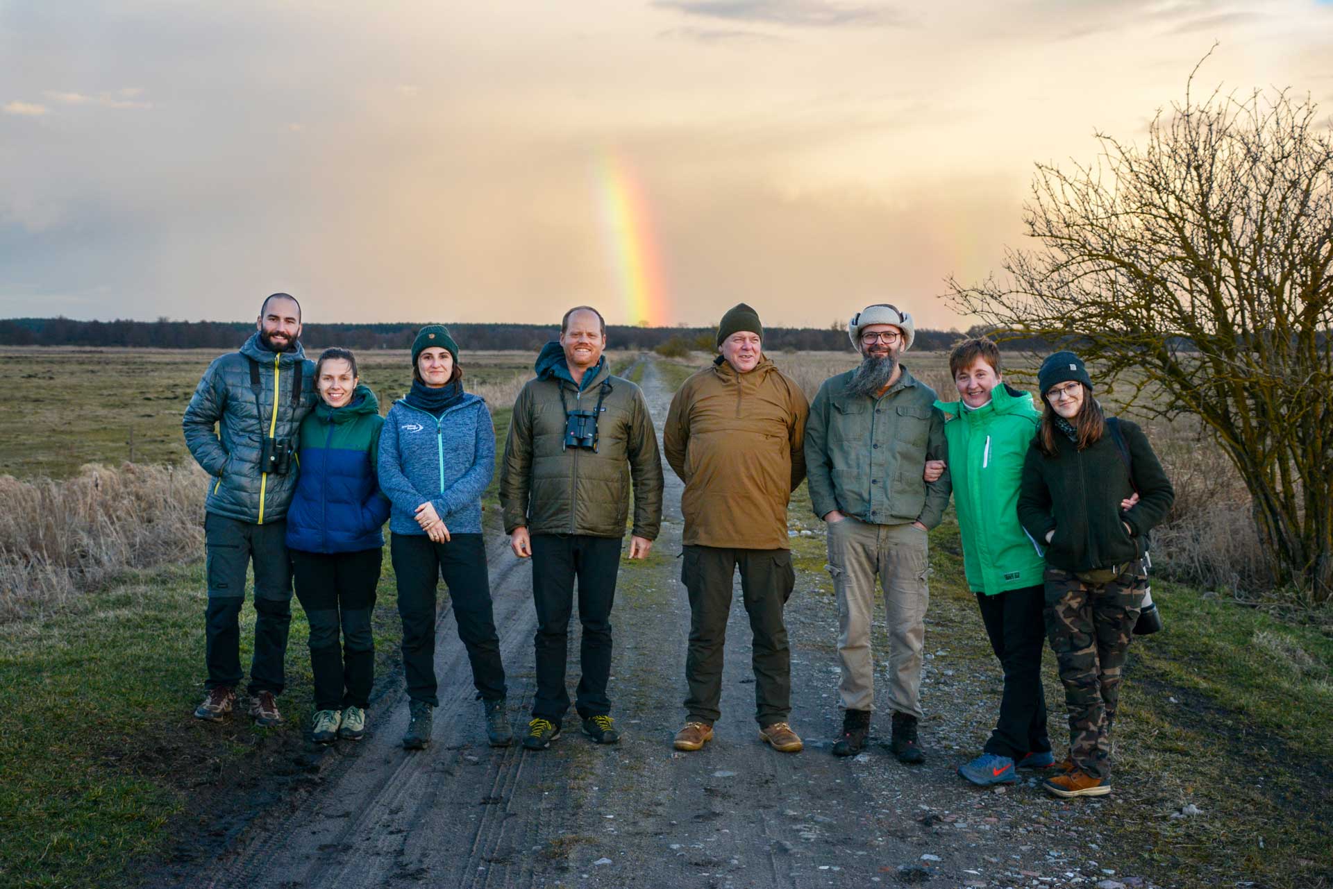 Juvenile lynx release to diversify population genetics in northwest ...