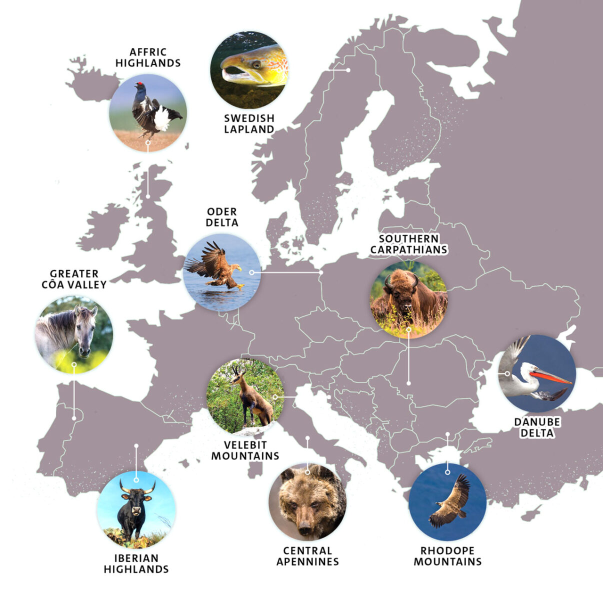 About us - Rewilding Oder Delta