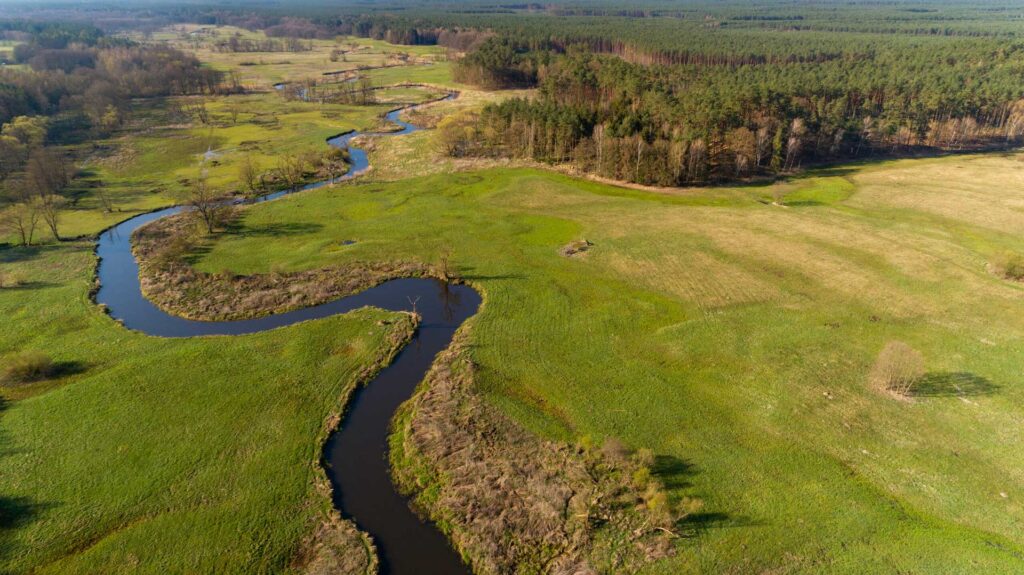Rewilding Oder Delta advocates to #RestoreNature - Rewilding Oder Delta
