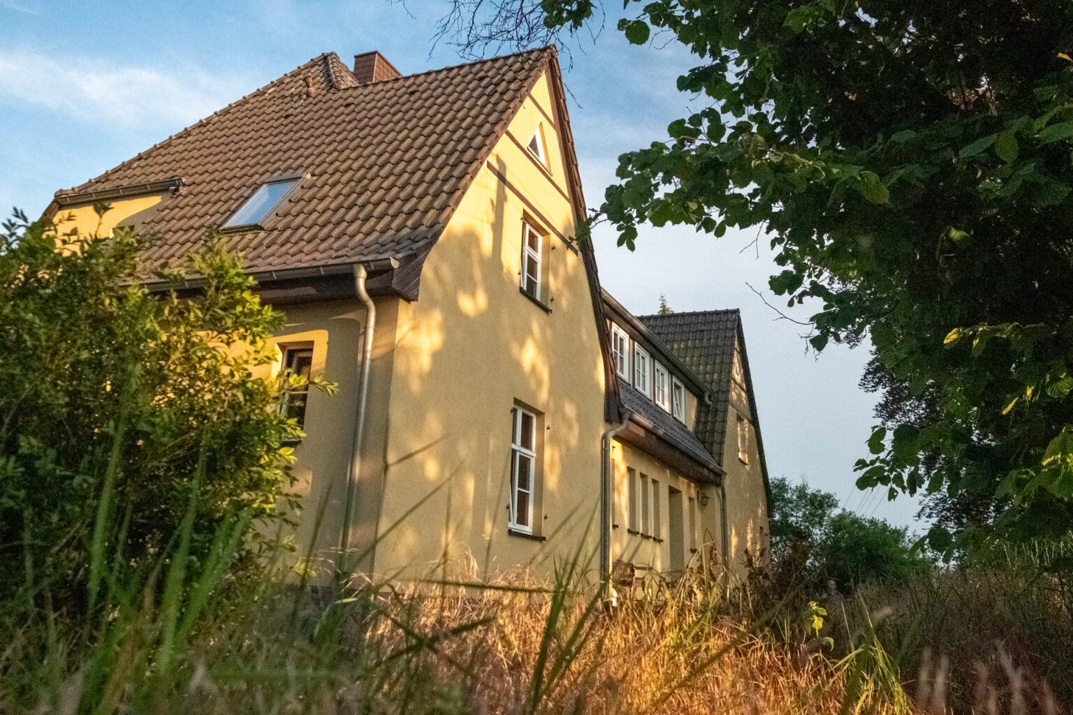 The newly established rewilding centre in the Oder Delta strengthens ...