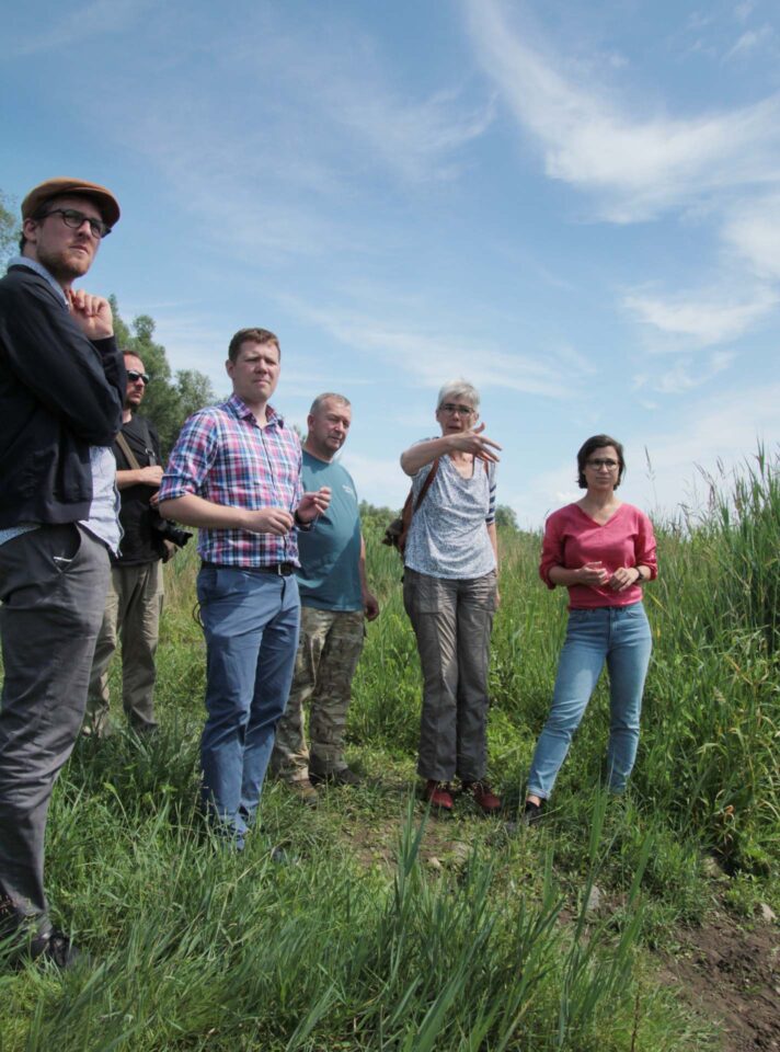 Rewilding Oder Delta opowiada się za odbudową zasobów przyrodniczych # ...