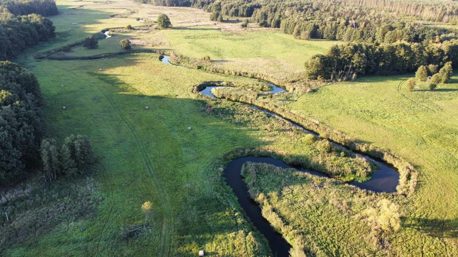 Rewilding efforts breathe new life into Oder Delta waterways ...